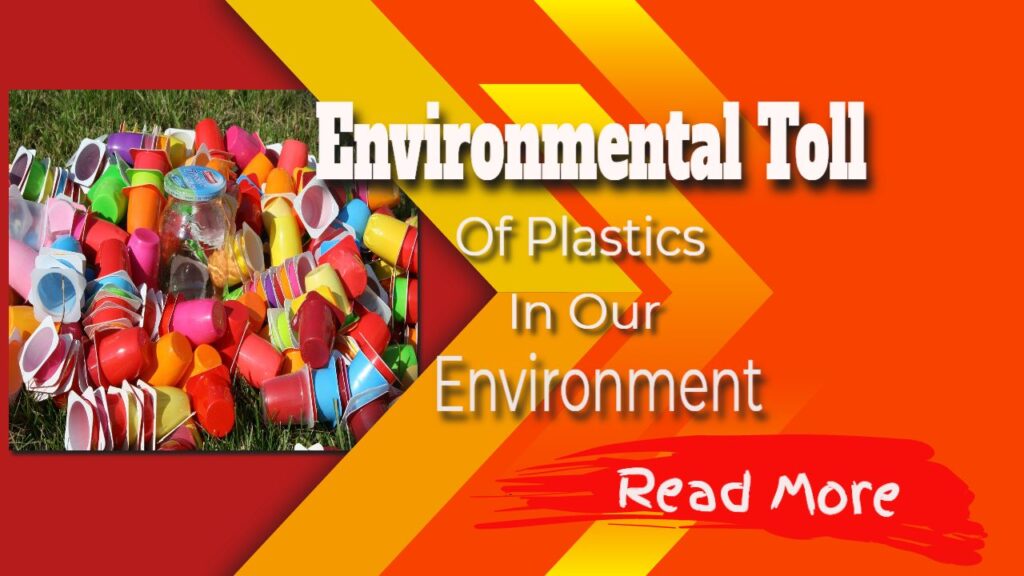 Environmental Toll Of Plastics In Our Environment