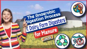 The Anaerobic Digestion Process & Dairy Farm Digesters for Manure